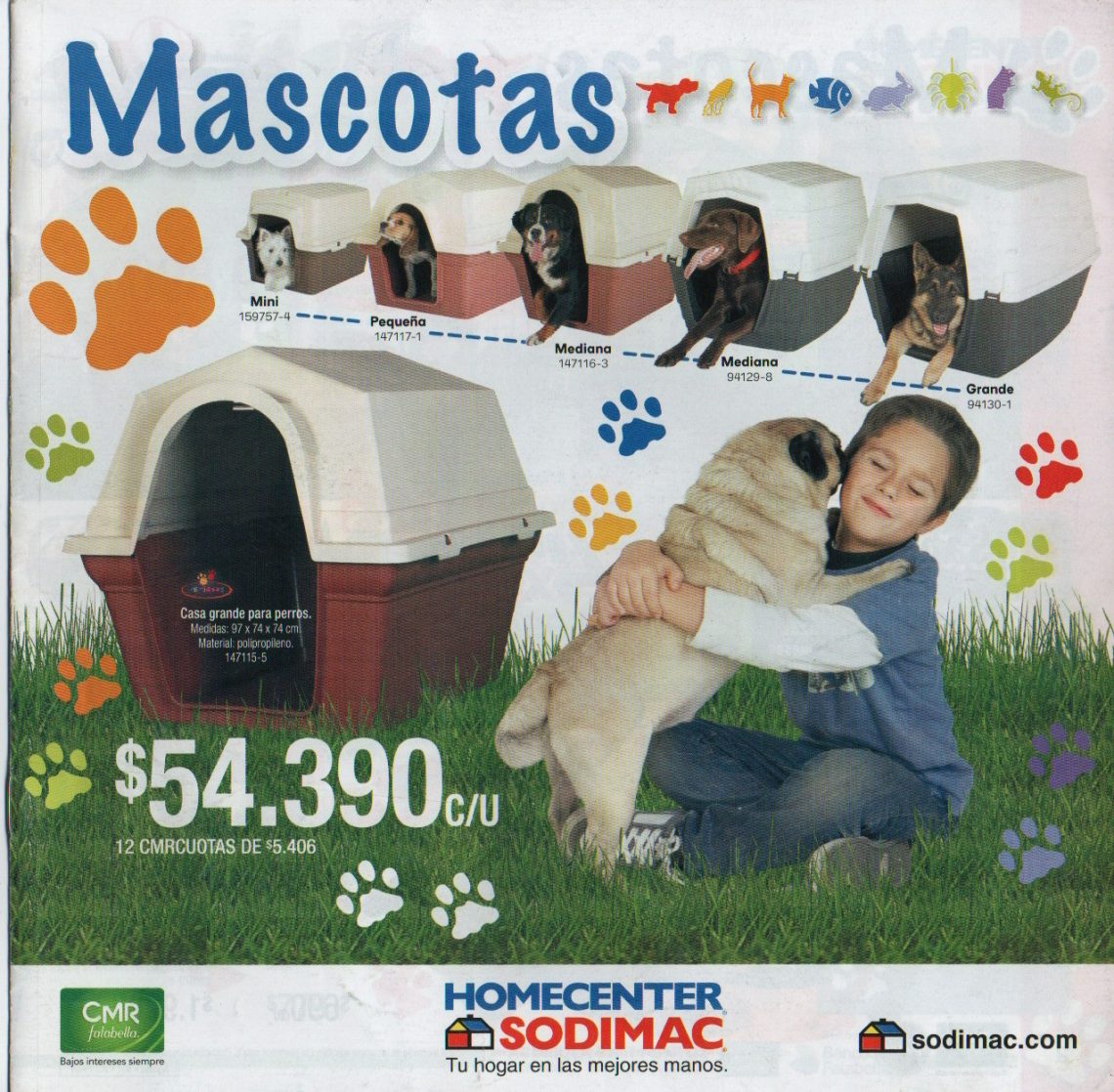 PUBLICIDAD CON PERROS - retratista animal